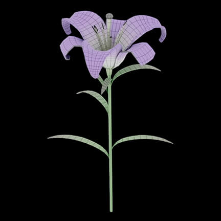 FLOWERS - SAE Australia